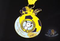 China Custom Die Cast Soft Enamel Medals 50mm Personalized Giraffe Shaped Gold Plating Medallions for sale