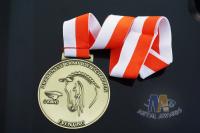 China Custom Horse Design Gold Medal 60mm Die Cast Soft Enamel Award for Races for sale