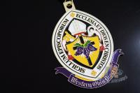 China Custom Die Cast Zinc Alloy Sports Medal 60mm Soft Enamel Gold Plated with Ribbon for sale