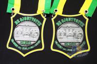 China Nicekl Plating Soft Enamel Medals , Die Strucking Custom Medallions With Cord for sale