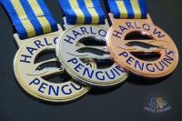 China Custom Logo Penguin Design Metal Award Medals Cut Out Shape 50x3.5mm for sale