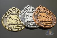 China Custom Engraved 2D Model Medals Antique Gold / Silver / Copper Plating for sale