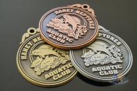 China Custom Engraved 2D Model Medals Antique Gold / Silver / Copper Plating for sale
