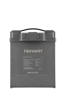 China Herewin Semi Solid State Battery 14S 51.8V 30000mAh with Molex Connector for UAV Drone for sale