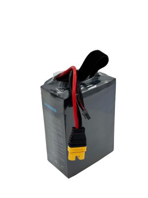 China Herewin 45.6V 12S 16000mAh 25C Pouch Cell LiPo Drone Battery for UAV for sale