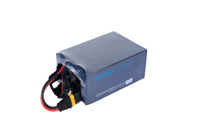 China Herewin 12S1P 22Ah 45.6V Lipo Drone Battery 25C Soft Pack Intelligent Flight Battery for sale