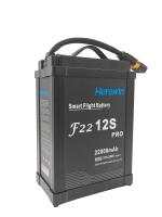 China Herewin 12S 22000mAh 44.4V 25C Smart UAV Drone Battery Pack for Extended Flight for sale