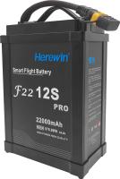 China Herewin 12S 44.4V 22000mAh 25C Lipo Battery 976.8Wh for Agriculture Drone Sprayer for sale