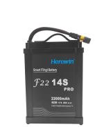 China Herewin 14S Pro 22000mAh 53.2V Smart Flight Battery 25C for UAV Drone for sale