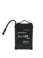 China 12S 22000mAh 45.6V Smart Agriculture Drone Li-Ion Battery Pack for UAV for sale