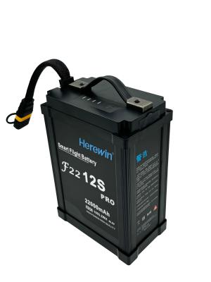 China 12S 22000mAh 45.6V Smart Agriculture Drone Li-Ion Battery Pack for UAV for sale