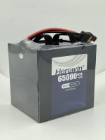China Herewin Semi-Solid State Battery 18S 66.6V 65000mAh 4329Wh High Capacity Li-Ion Pack for sale