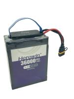 China Herewin 14S1P 51.8V 36Ah 5C Smart Soft Pouch Drone Battery for Agriculture Spray 36000mAh for sale
