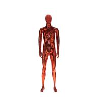 China Red Standing Full Body Male Mannequin Fiberglass Electroplated Fashionable for sale
