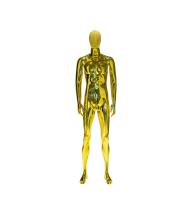 China Bright Yellow Male Adjustable Mannequin Full Body Standing Posture for sale