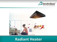 China 2025 Theodoor Heating Products Warm Air Conditioning High Temperature Radiant Heater for sale