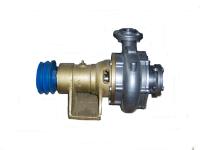 China Stainless Steel Sea Water Pump Marine Engine Spare Parts for sale