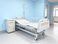China Manual Double-Crank Nursing Bed 250kg Capacity Central Brake System Hospital Care for sale