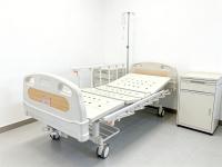 China Manual Double-Crank Nursing Bed 250kg Load Capacity Four-Wheel Independent Braking for sale