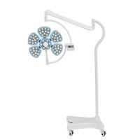 China Advanced Dual-Head LED Shadowless Surgical Lamp (Professional Series) for sale