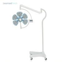 China Dual Head LED Shadowless Surgical Lamp 160000 Lux 60000 Hours for sale