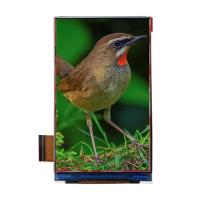 China Transmissive RGB Round TFT LCD Display Multipurpose 4.0
