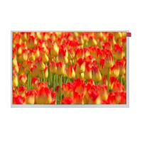 China Transmissive IPS TFT Display LCD Panel 10.1 Inch 1280x800 Practical for sale