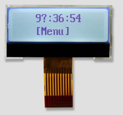 China FSTN Negative Graphic LCD Module Screen 240x240 Multi Function for sale