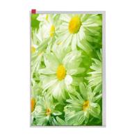 China Lvds Interface Tft Color Lcd Module 1024x600 High Performance For Automotive for sale