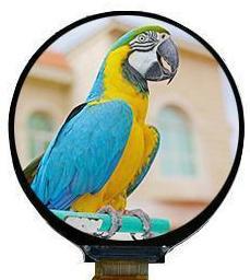 China 2.1 Inch Round Tft Screen 480*480 With 18bit Rgb +Spi Interface for sale