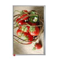 China 4 Inch Innovative Tft Lcd Module 480x480 Resolution High Brightness Wide Viewing Angle for sale