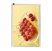 China LED Backlight 9 Inch TFT LCD Module With 6ms Response Time For Optimal Performance for sale