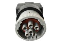 China Gray J1708 Deutsch 6-Pin Female to OBD2 OBDII 16 Pin J1962 Female Adapter 20AWG for sale