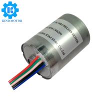 China High speed 2000rpm 3000rpm 4000rpm 5000rpm 5500rpm 6000rpm 7000rpm 5v 6v 12v 24v 28mm brushless dc motor for sale