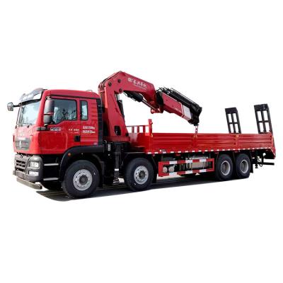 China Famous Hot Sale Tipper Truck Howo 8x4 12 Wheels Crane Truck with 25 Tons for sale