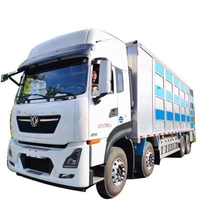 China Export Customization 8x4 35 TONS Live Poultry Transportation Truck Piglets Transport Truck With Aluminum Alloy Compartment Box for sale