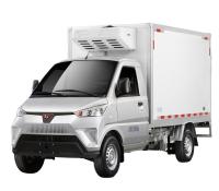 China SGMW Wuling 2.7 Tons  Mini  Van Box Refrigerated  Electric Cargo Truck Freezer Truck for Frozen Meat and Chicken for sale