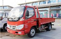 China Sale 3-4 Tons FORLAND 4*2 Light Cargo Truck for sale