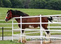 China Animal Husbandry Fence for sale