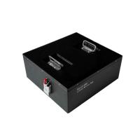 China Low Temperature 24v 60ah Lithium Battery Pack For Ev Cars Cold Storage for sale