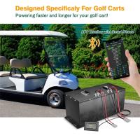China Lithium 120ah 48v Lifepo4 Golf Cart Battery Pack Rechargeable For Car Club for sale