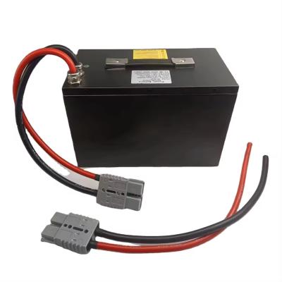 China Customized 24V40Ah LiFePO4 Lithium Battery Pack Fast Charge and Discharge Batteries Long Cycles For Electric scooter bic for sale