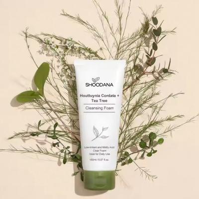 China Custom Logo Houttuynia Cordata Cleansing Foam With Tea Tree Acne Control And Blackheads Removal Mildly Acid Facial Cleanser for sale