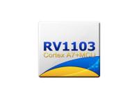 China Highly Integrated Vision Processor SoC RV1103 Integrated Circuit Chip , QFN Package for sale