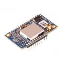 China Wireless Communication Module LTP5900IPC-WHMA1A2 250kbps Networking Modules 22-DIP Module for sale