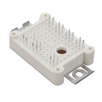 China Automotive IGBT Modules DDB2U40N12W1RFB11BPSA1 1.2kV Schottky Diode Modules for sale