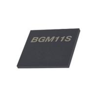 China BT IC BGM11S12F256GA-V2R Wireless BT Modules 2.4GHz BT 4.2 Low Energy SiP Modules for sale
