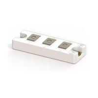 China Automotive IGBT Modules MSCDC150KK170D1PAG Dual Common Cathode SiC Diode Modules for sale