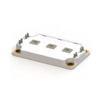 China Automotive IGBT Modules MSCDC600A70AG 700V 600A Phase Leg SiC Diode Power Module for sale
