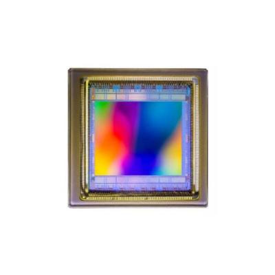China Sensor IC CSG8K-1E5C1LA High Speed 8Mp Global Shutter Image Sensor LGA-218 for sale